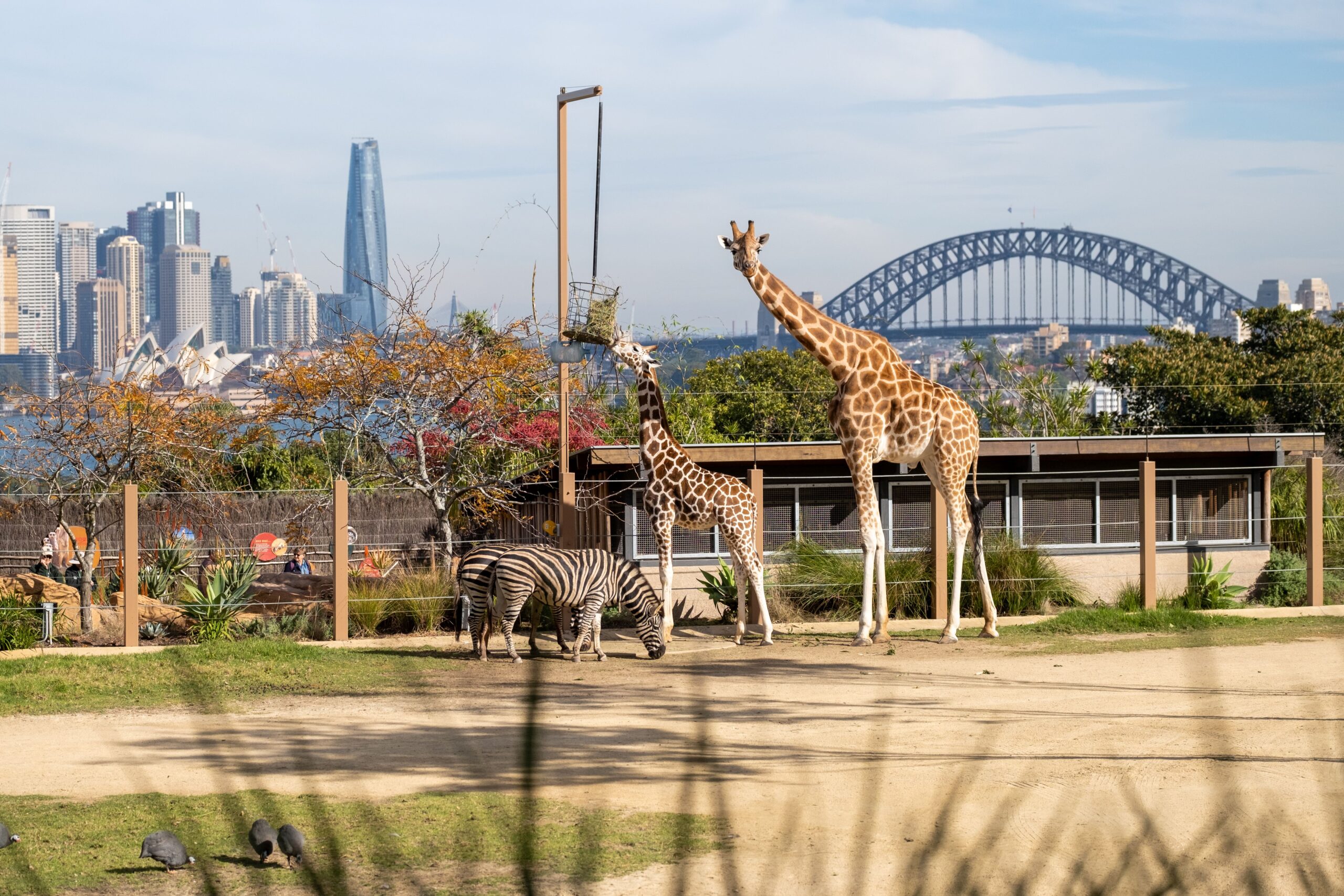 Taronga Conservation Society | Ecotourism Australia