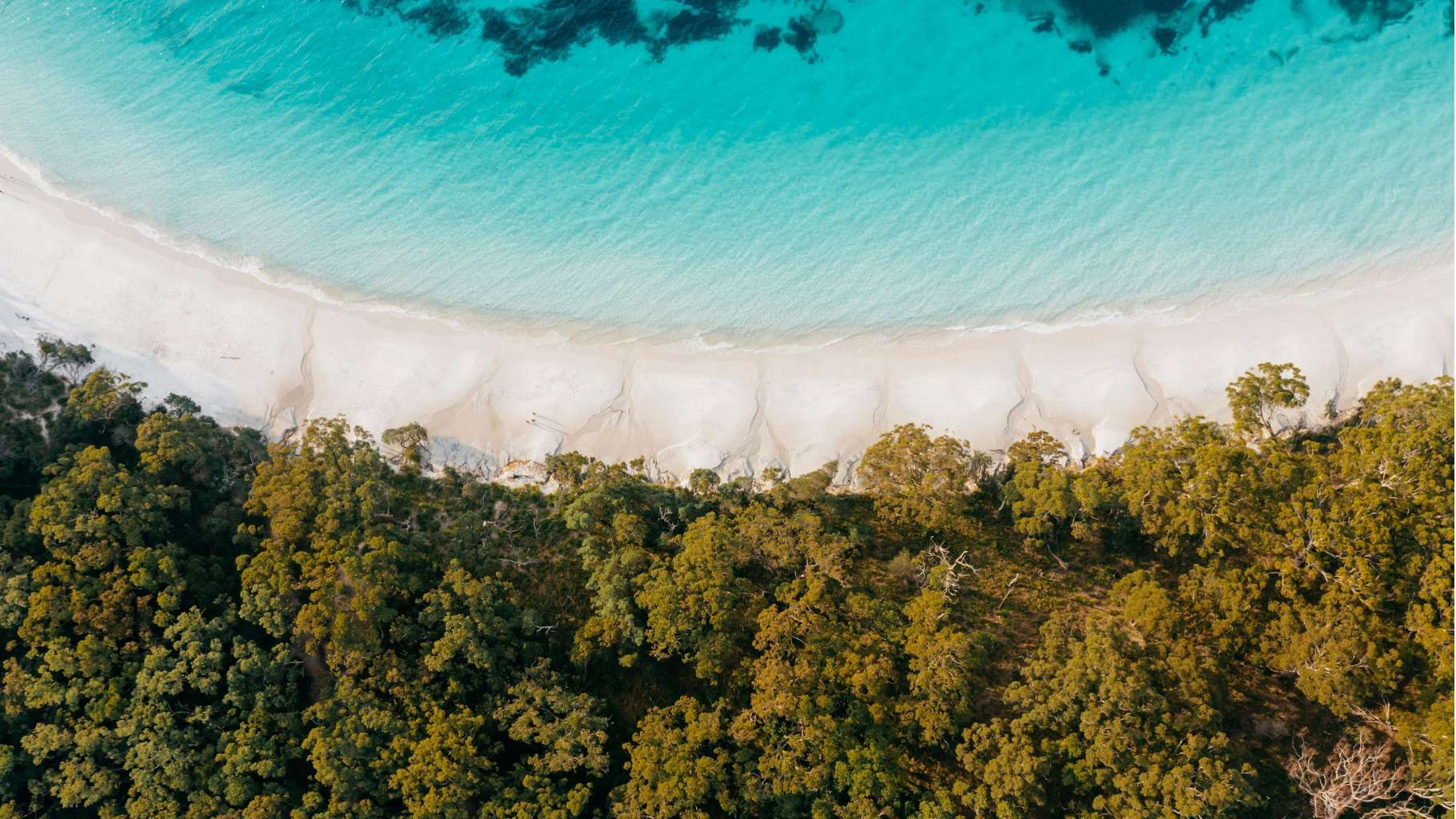 Ecotourism Australia and Destination NSW partnership to boost ...