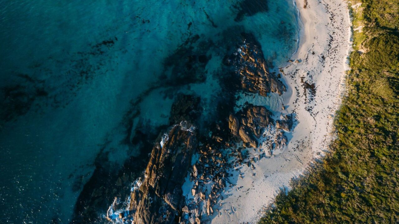 Global Recognition | Ecotourism Australia