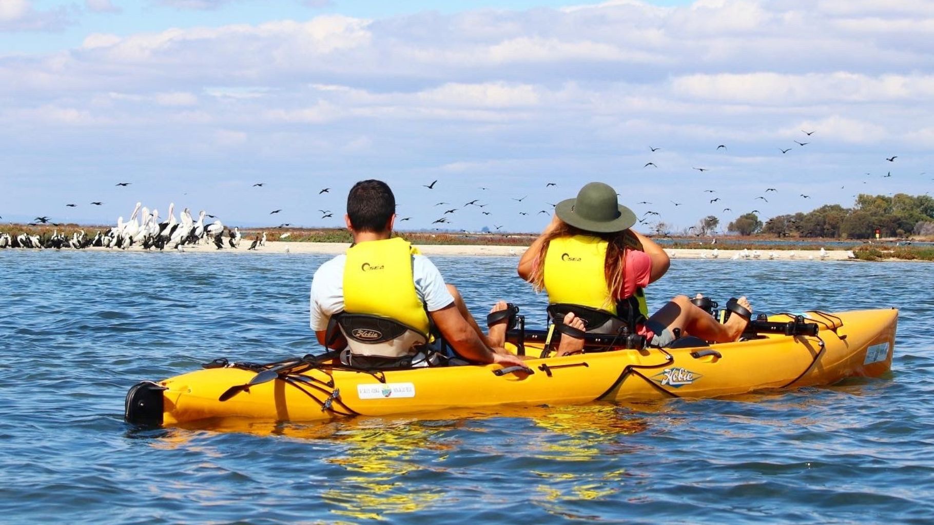 Salt & Bush Eco Tours | Ecotourism Australia