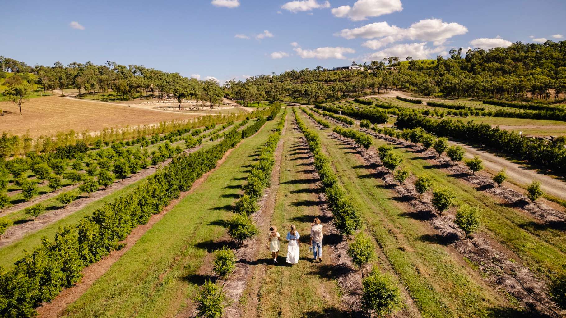 The Salty Lime Co | Ecotourism Australia